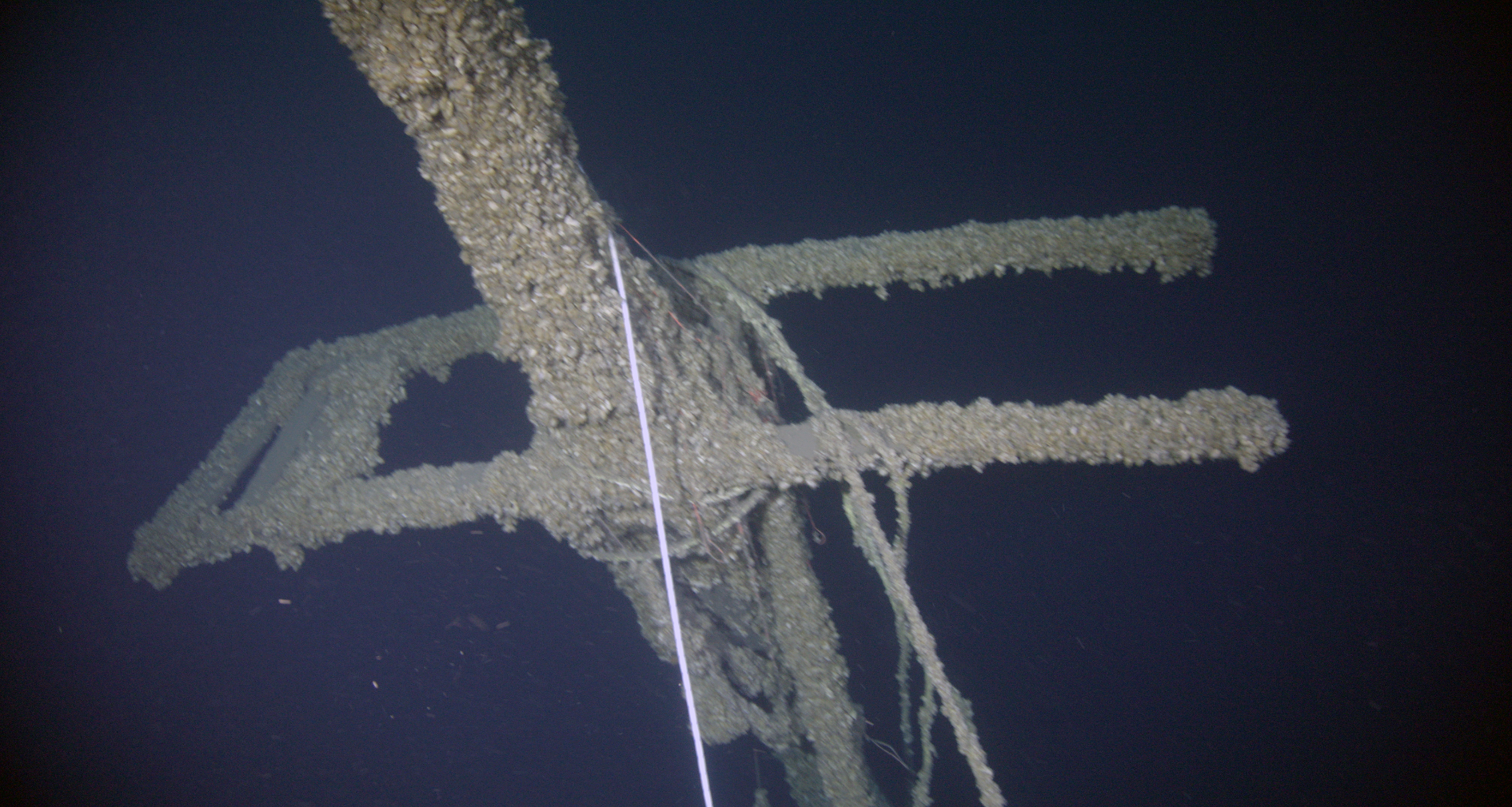 Tennie and Laura (1876) - WI Shipwrecks